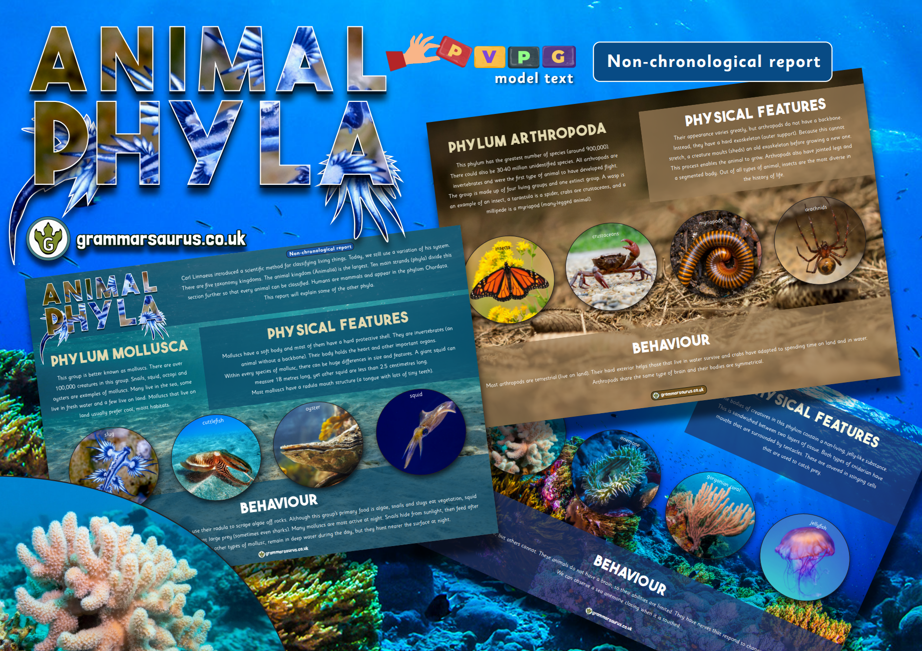 Year 6 PVPG Model Text – Non-chronological report – Animal Phyla ...