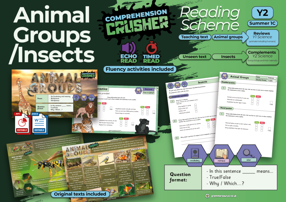 website ad - Grammarsaurus