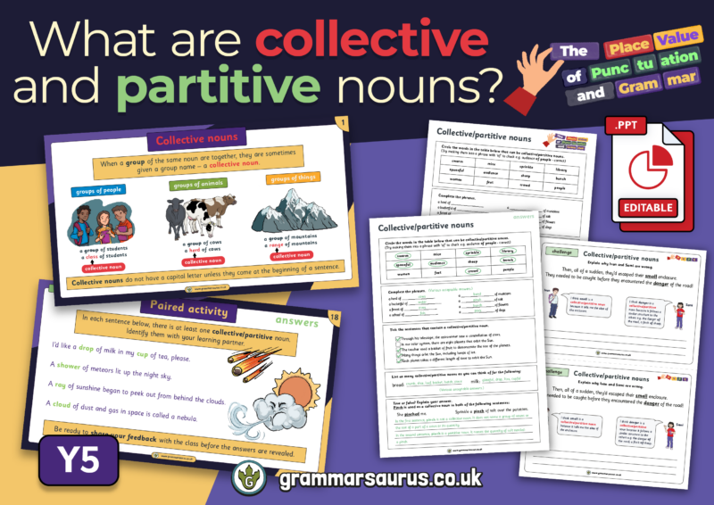 Year 5 The Place Value of Punctuation and Grammar – What are collective ...