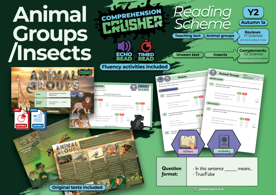 Y2 Teaching resources - Grammarsaurus