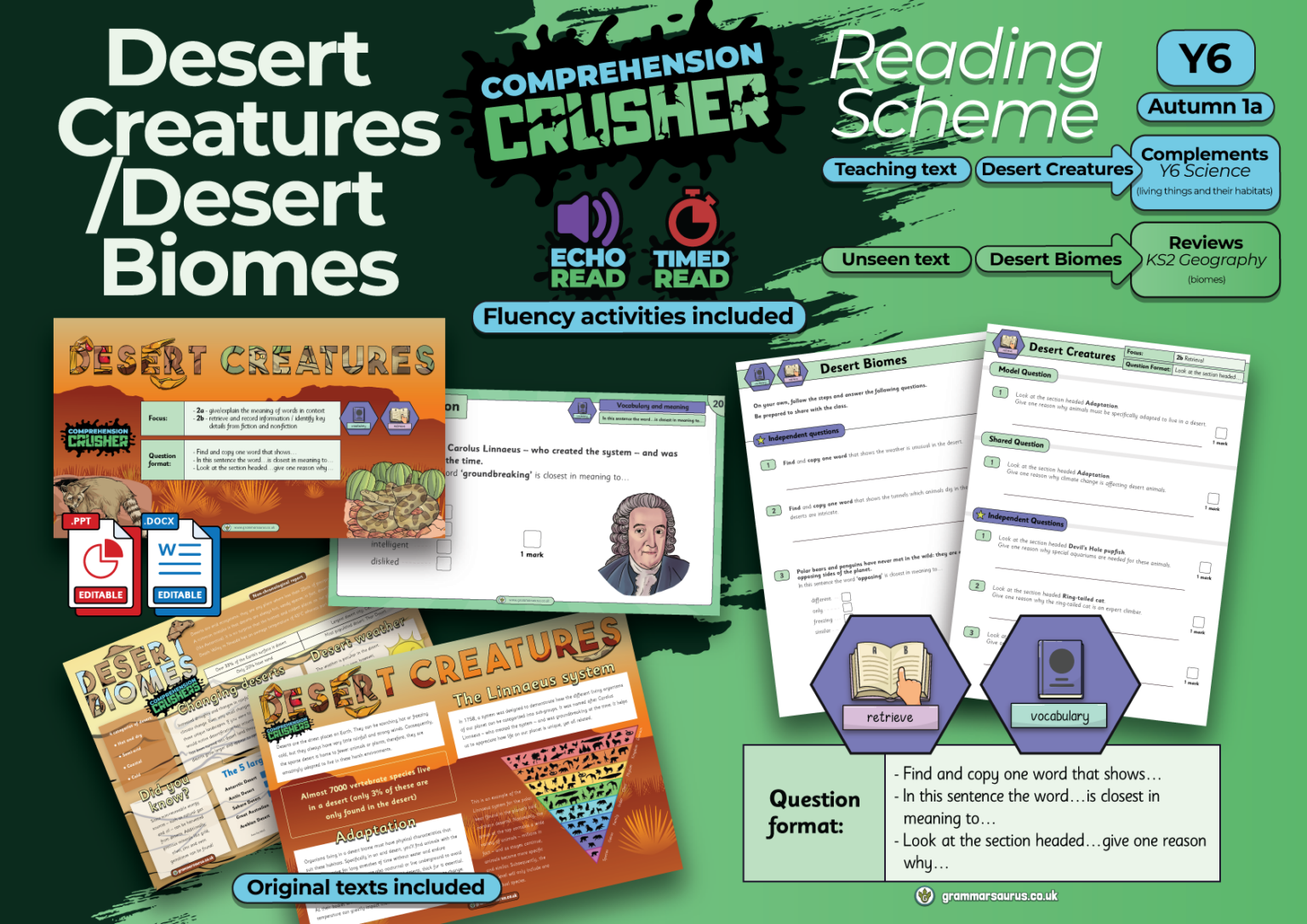 Year 6 Comprehension Crusher Reading Scheme - Autumn 1a - Desert ...