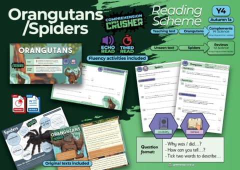 Year 4 Comprehension Crusher Reading Scheme - Autumn 1a - Orangutans ...