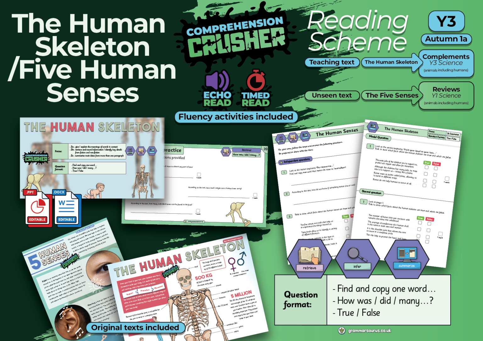 Year 3 Comprehension Crusher Reading Scheme - Autumn 1a - The Human ...