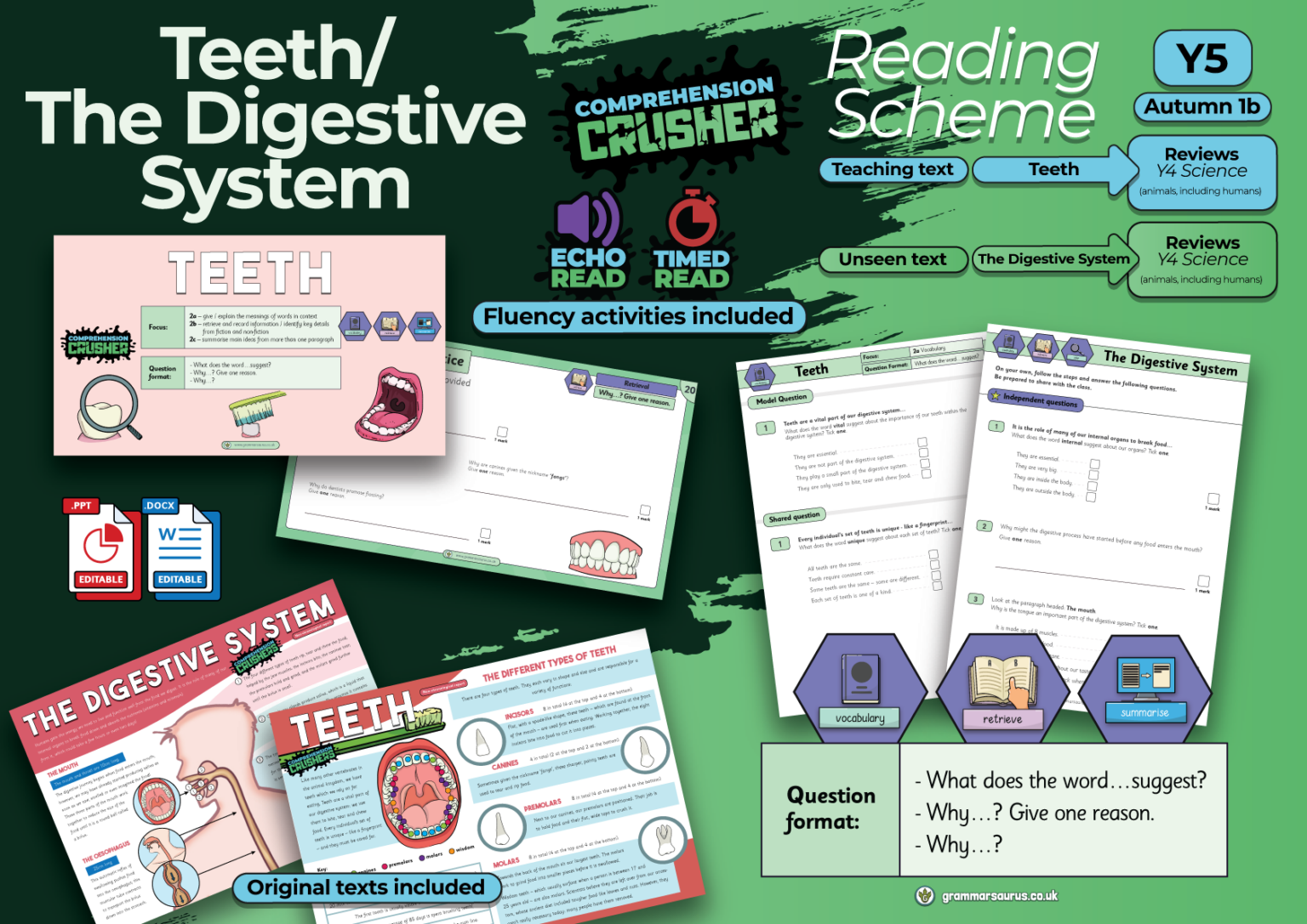 Year 5 Comprehension Crusher Reading Scheme - Autumn 1b - Teeth/The ...