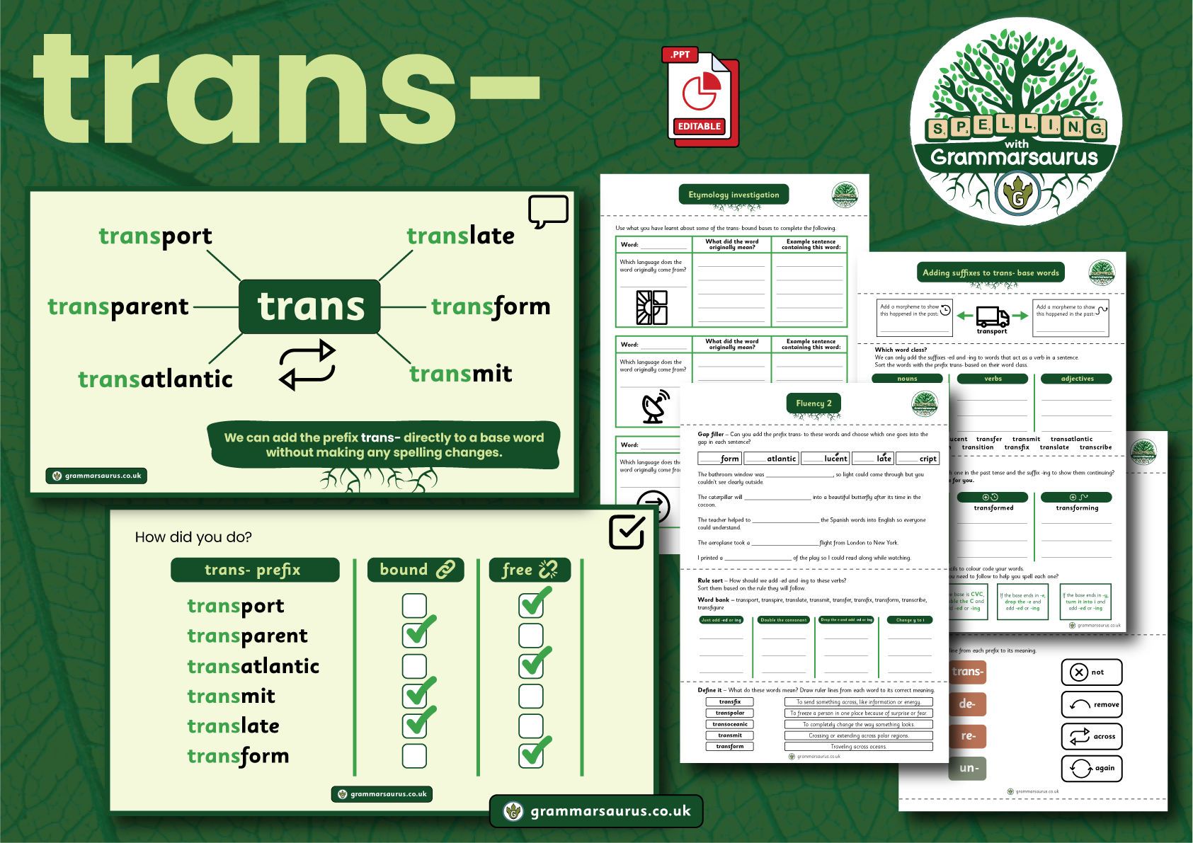 Ad 2 - Grammarsaurus