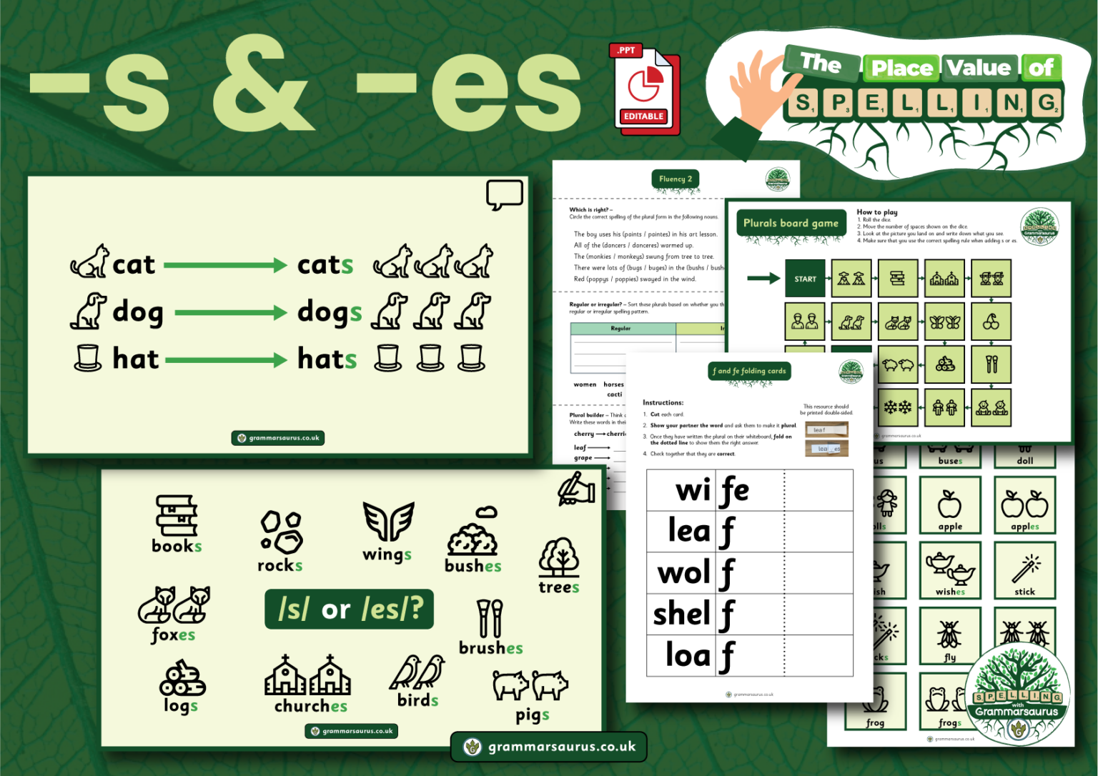 Y2 Objective 4 - (-s & -es) - Grammarsaurus
