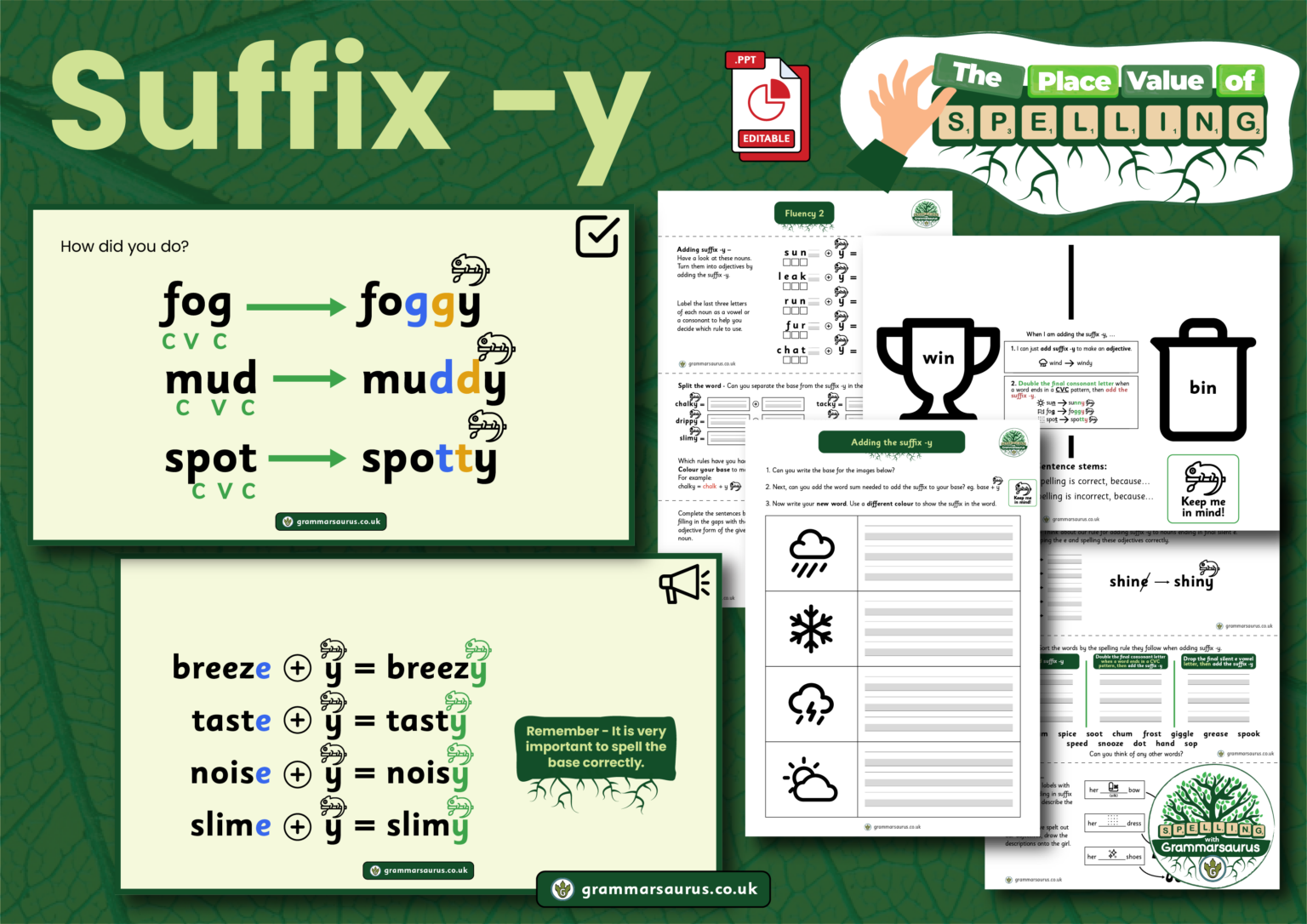 Y2 Objective 5 (Suffix -y) - Grammarsaurus