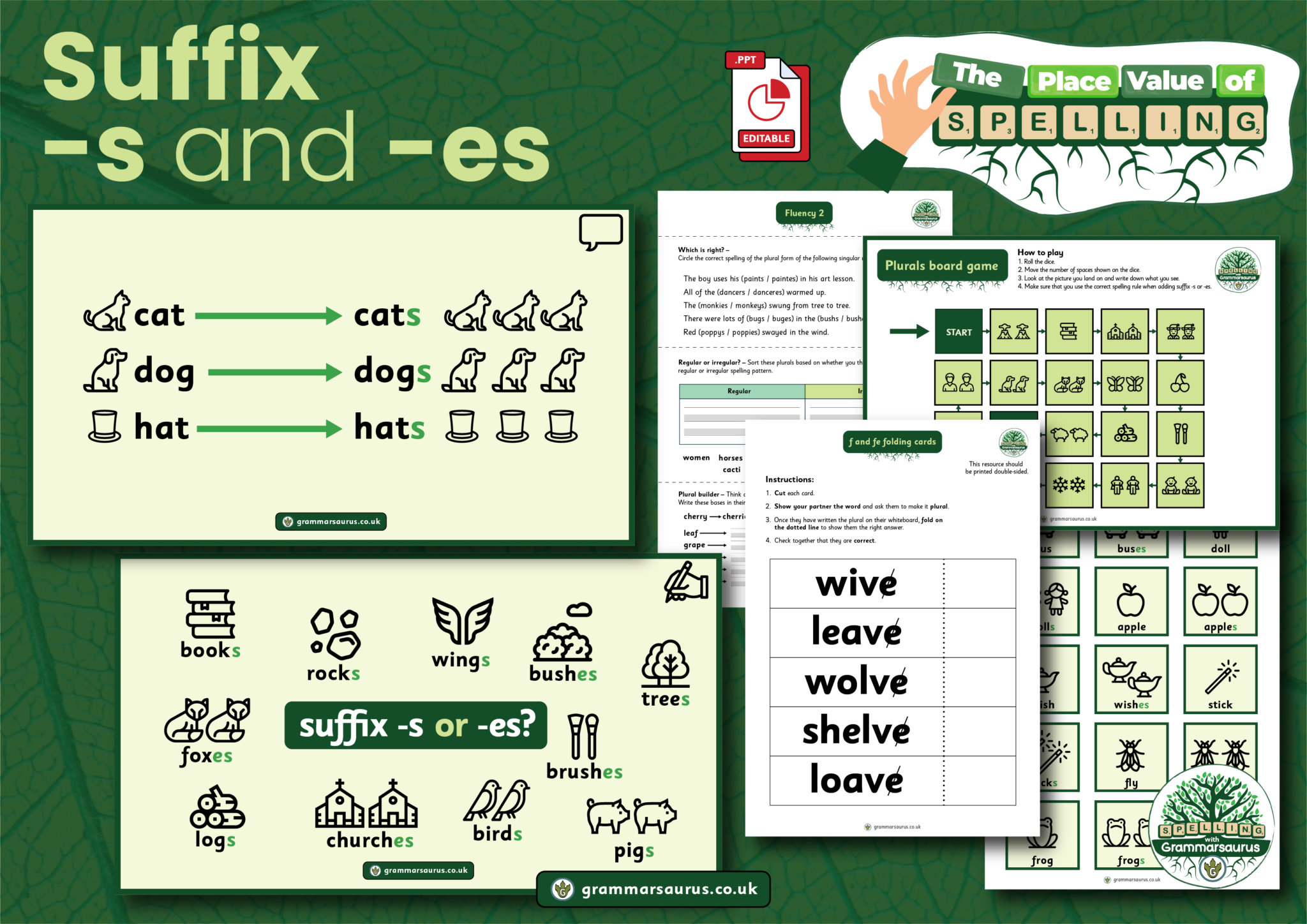 Y2 Objective 4 (Suffix -s and -es) - Grammarsaurus