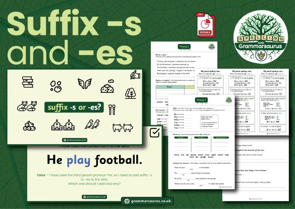 Y2 Objective 4 (Suffix -s and -es) - Grammarsaurus
