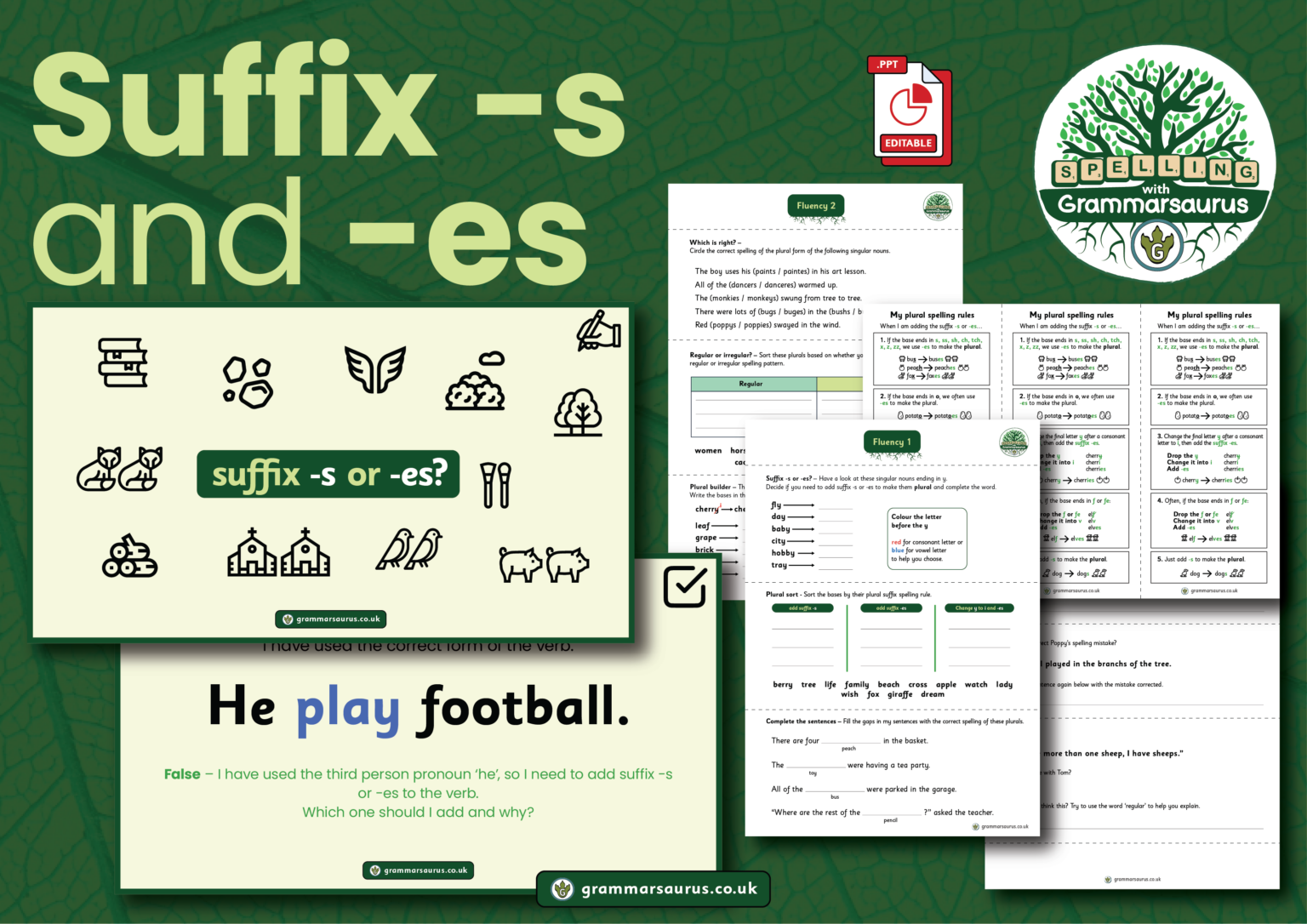 Y2 Objective 4 (Suffix -s and -es) - Grammarsaurus