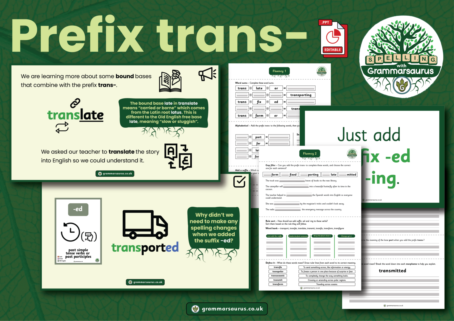 Y3 Objective 7 (Prefix trans -) - Grammarsaurus