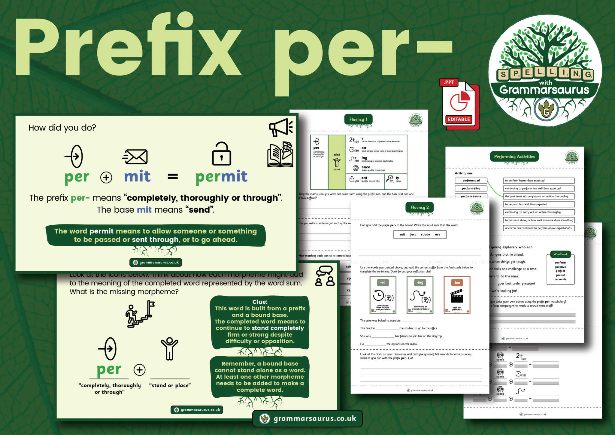Y4 Objective 5 (Prefix per-) - Grammarsaurus