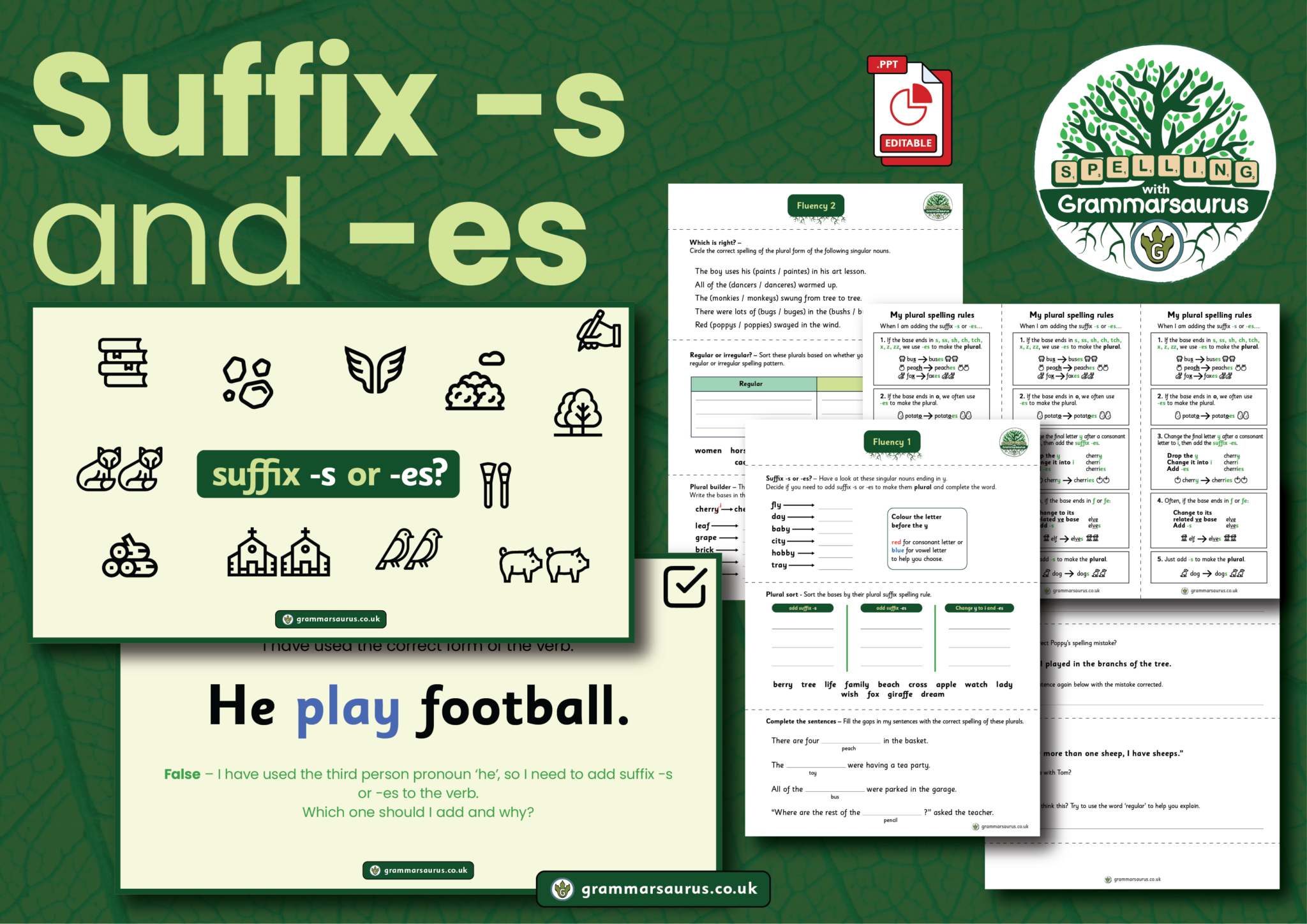 Y2 Objective 4 (Suffix -s and -es) - Grammarsaurus