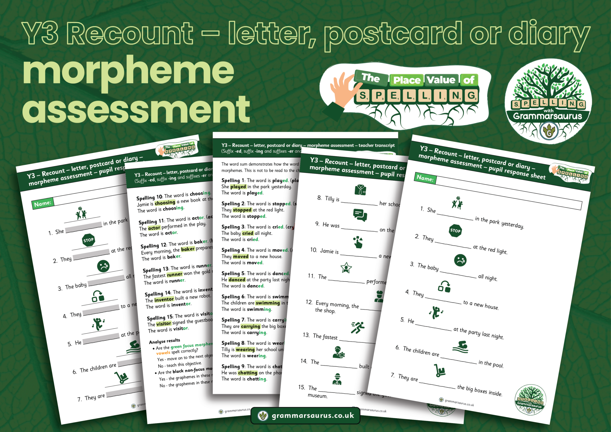 Y3 PVOS - Recount -Letter, postcard or diary - Morpheme assessment ...