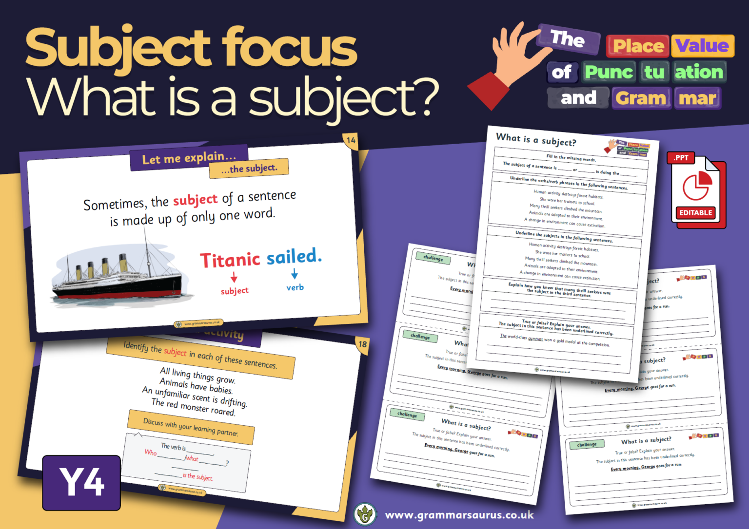 Year 4 The Place Value of Punctuation and Grammar – Subject focus ...