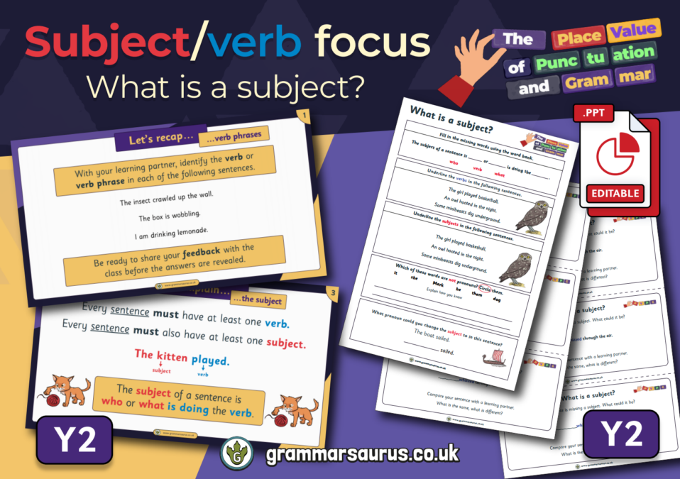 Y2 PVPG Unit - Grammarsaurus