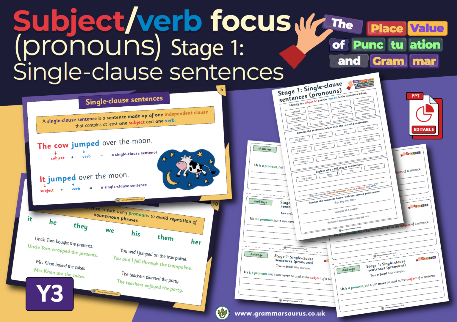 Year 3 The Place Value of Punctuation and Grammar - Subject/ Verb focus ...