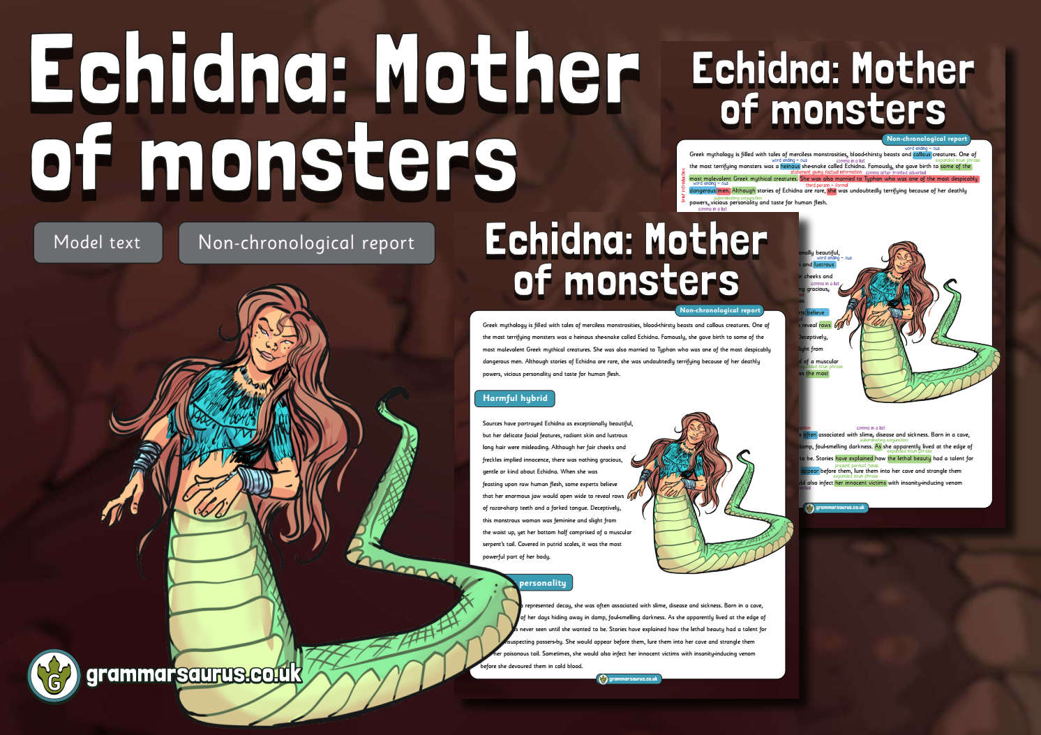 Year 4 Model Text – Non-chronological report – Echidna: Mother of ...
