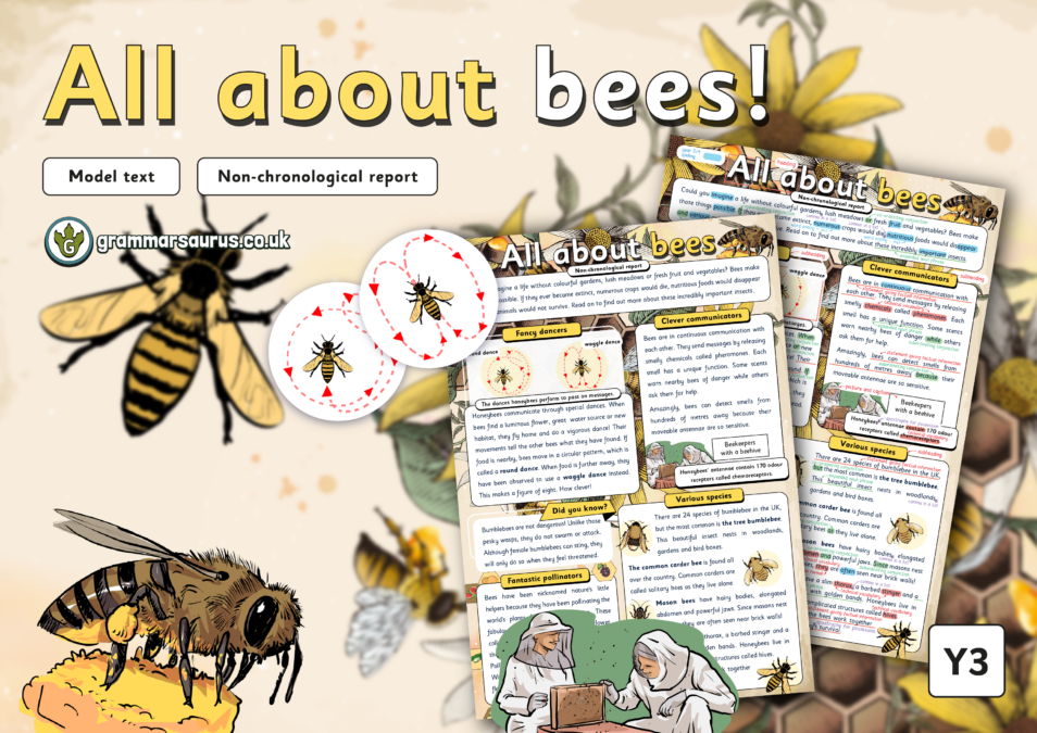 Year 3 Model Text – Non-chronological report – All about bees! ( gbsct ...