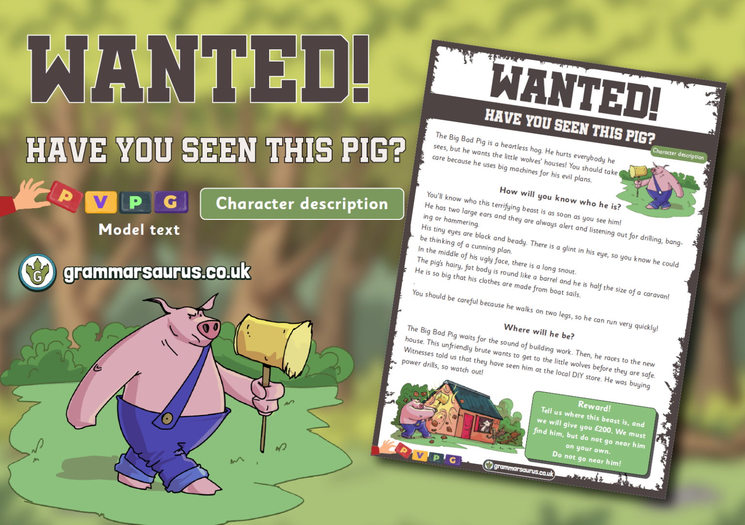 Year 2 PVPG Model Text – Character description – Wanted! Have you seen ...