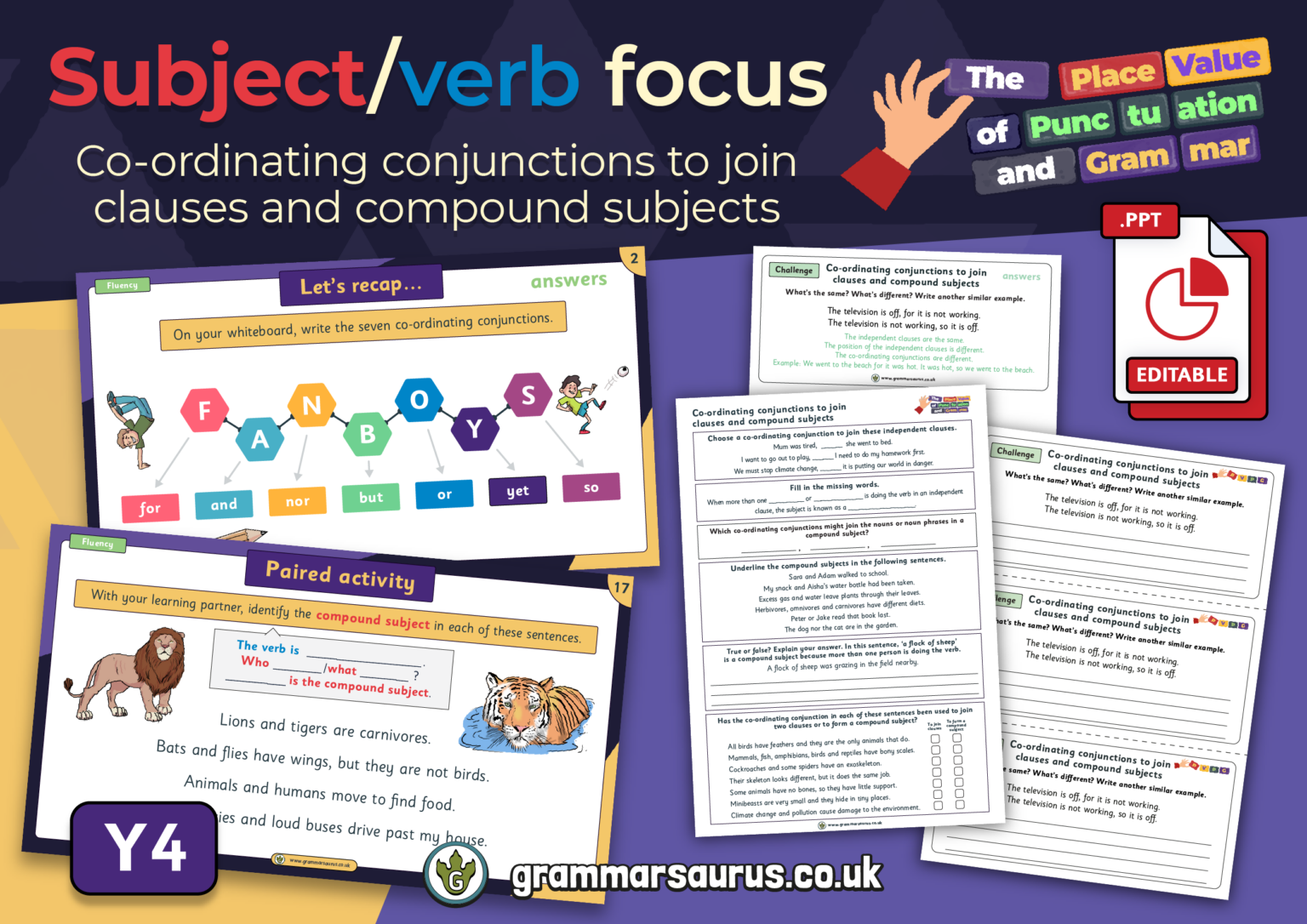 Year 4 The Place Value of Punctuation and Grammar - Subject/verb focus ...