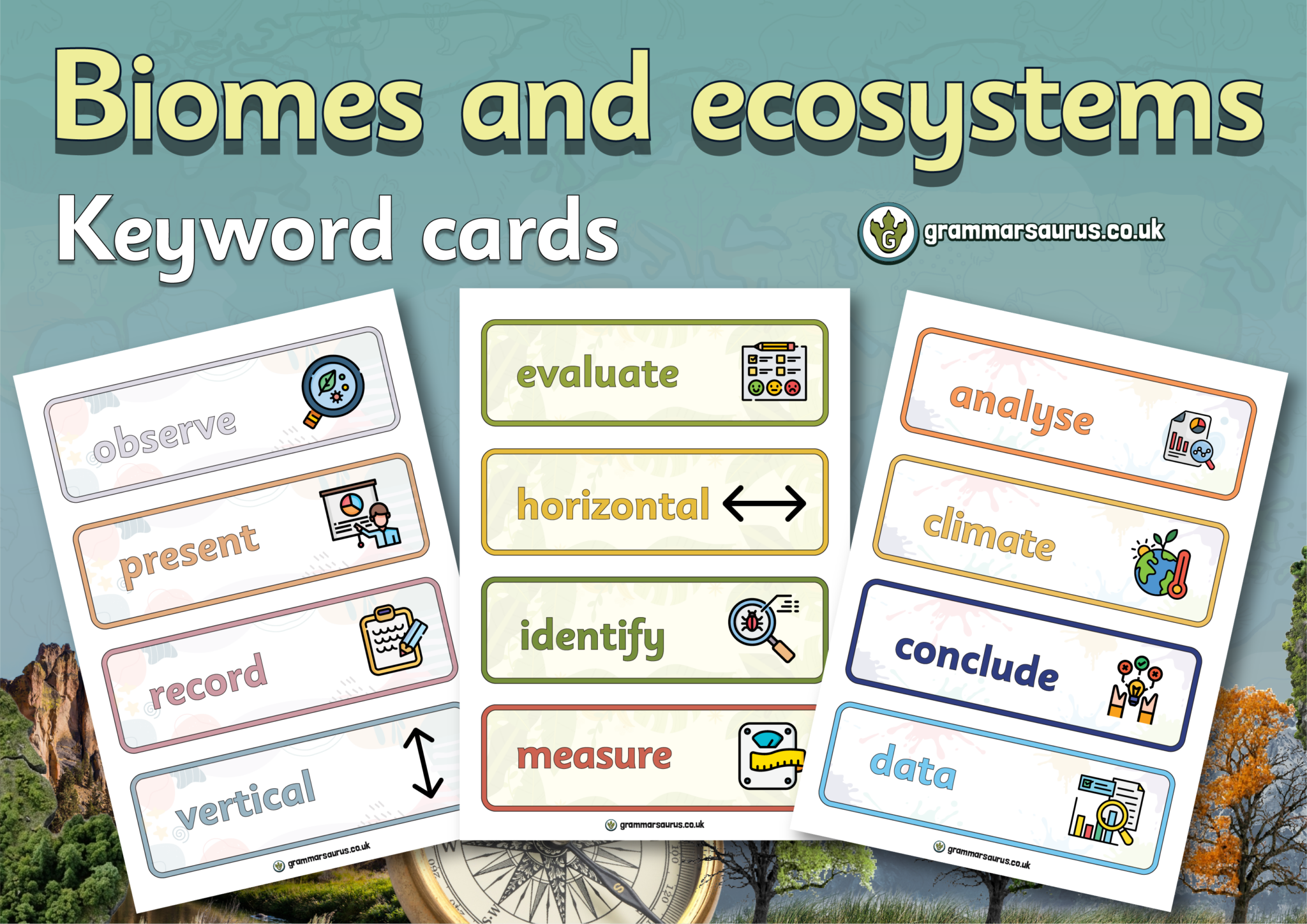 Year 5 Geography – Biomes and ecosystems - Keyword cards - Grammarsaurus