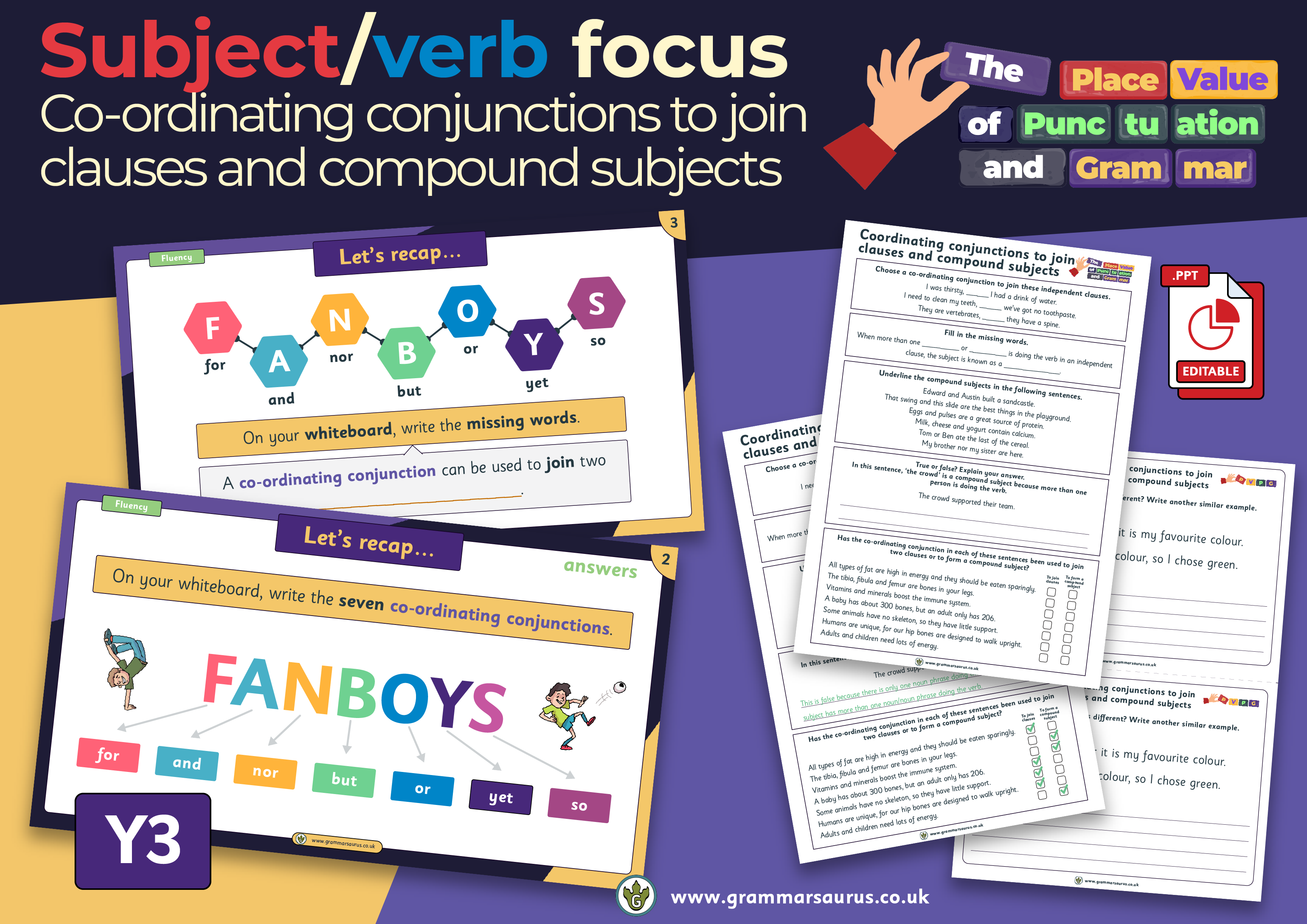 Year 3 Place Value of Punctuation and Grammar - Subject/verb focus - Co ...