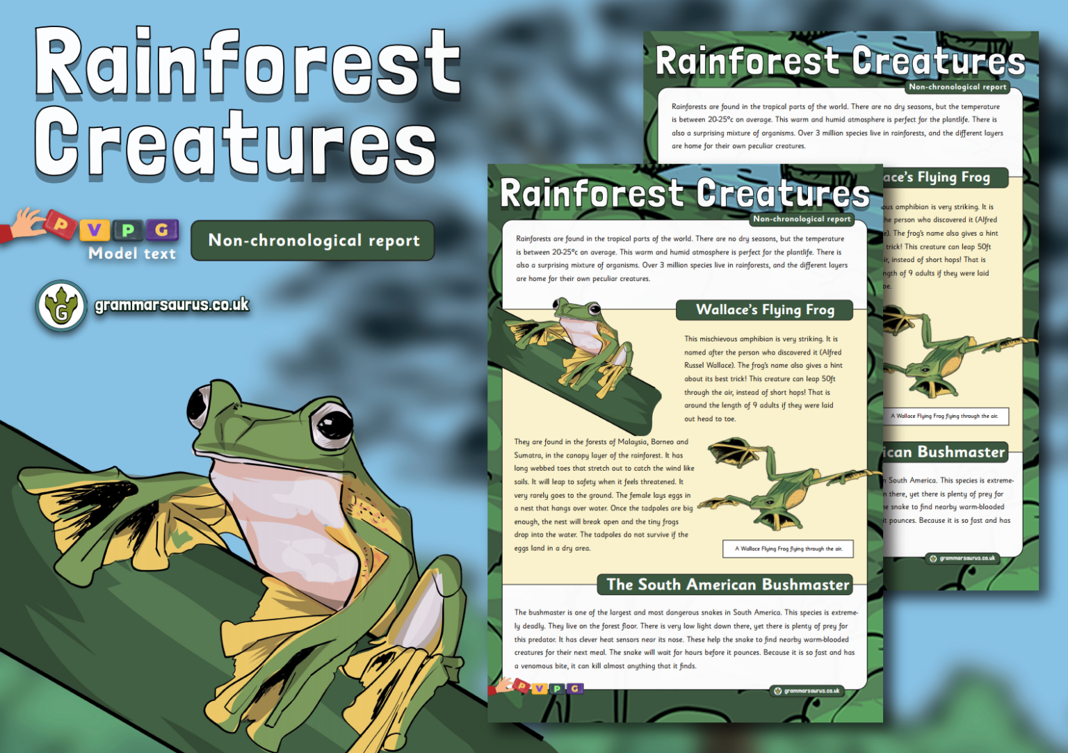 Year 4 PVPG Model Text – Non-chronological report – Rainforest ...
