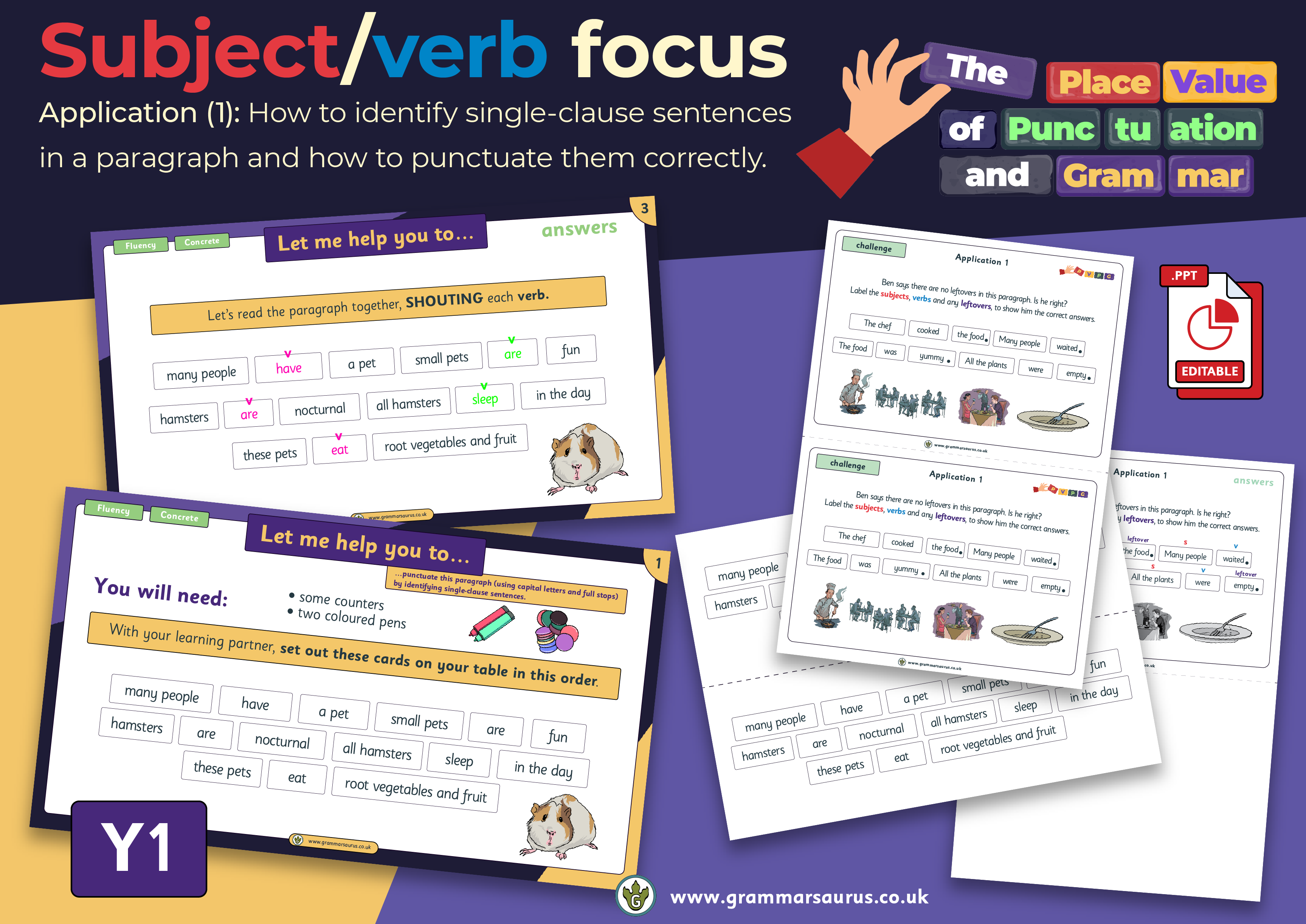 Year 1 Place Value of Punctuation and Grammar - Subject/verb focus - Application 1 - Grammarsaurus