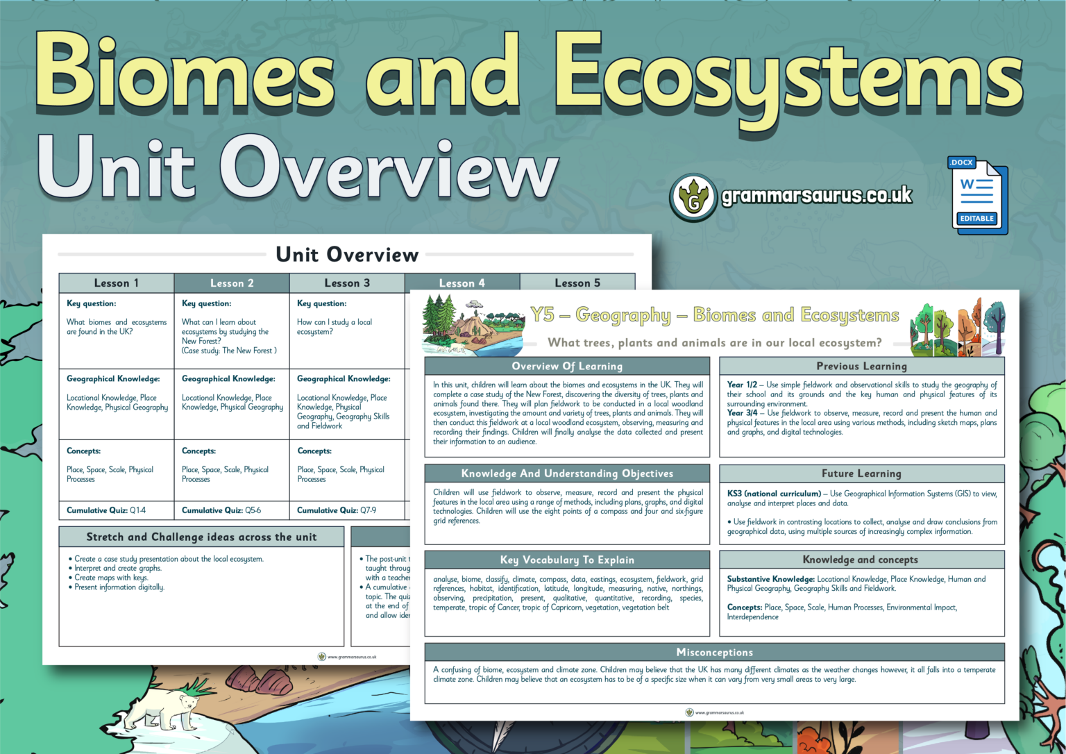 Year 5 Geography - Fieldwork - Biomes - Unit Overview - Grammarsaurus