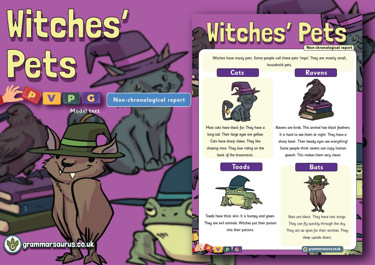 Year 1 PVPG Model Text – Non-chronological report – Witches' Pets ...