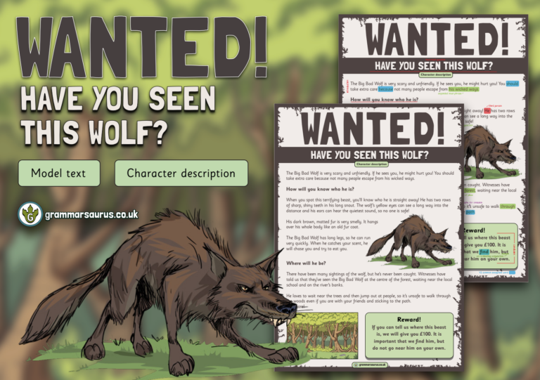 Year 2 Model Text – Character Description – Wanted Poster: Have you ...