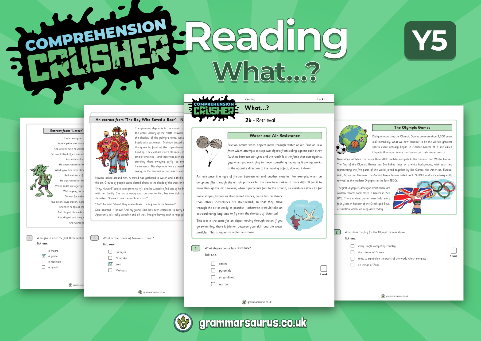 Y5 Comprehension Crusher: What...? - Grammarsaurus