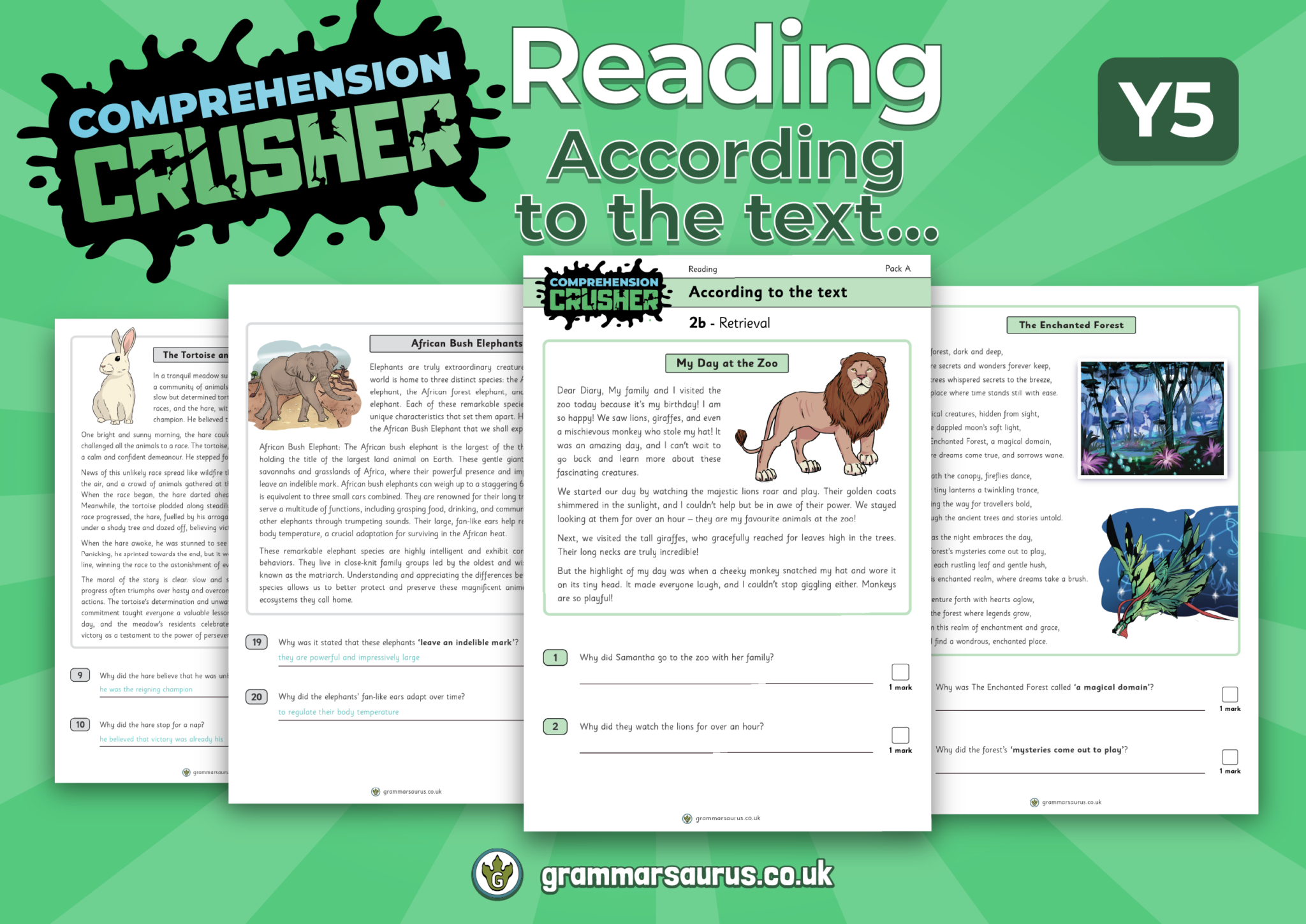 Y5 Comprehension Crusher: According to the text… - Grammarsaurus