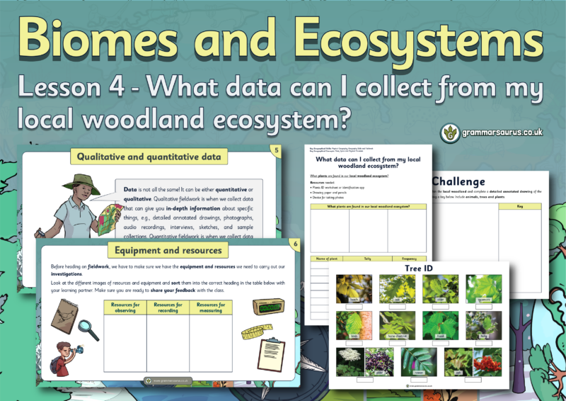 Year 5 Geography – Fieldwork – Biomes – What data can I collect from my ...