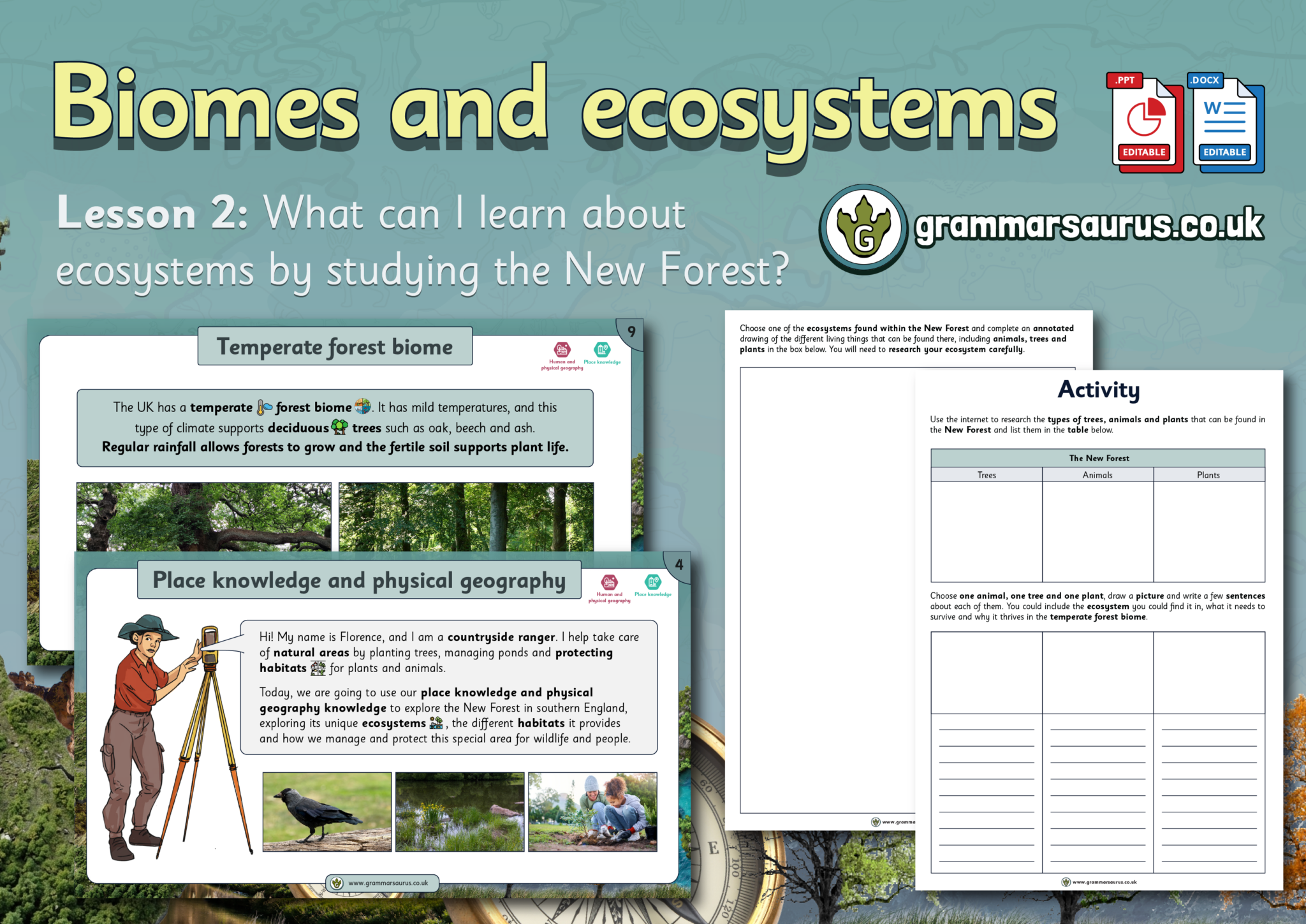 Year 5 Geography - Biomes and ecosystems – What can I learn about ...