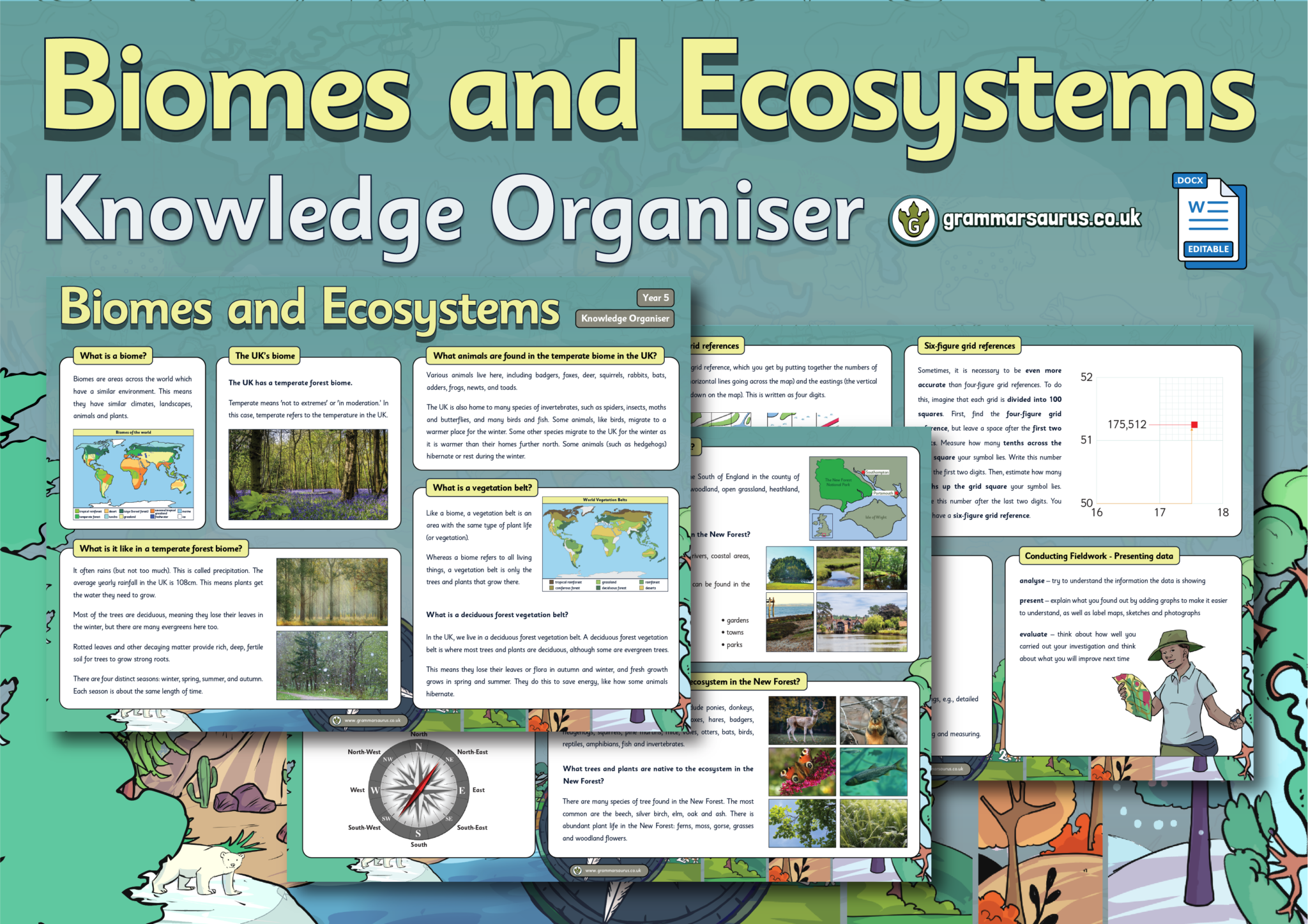 Year 5 Geography – Fieldwork – Biomes - Knowledge Organiser - Grammarsaurus