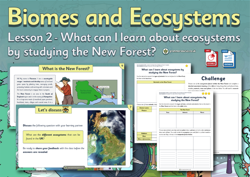 Year 5 Geography - Fieldwork - Biomes - What can I learn about ...