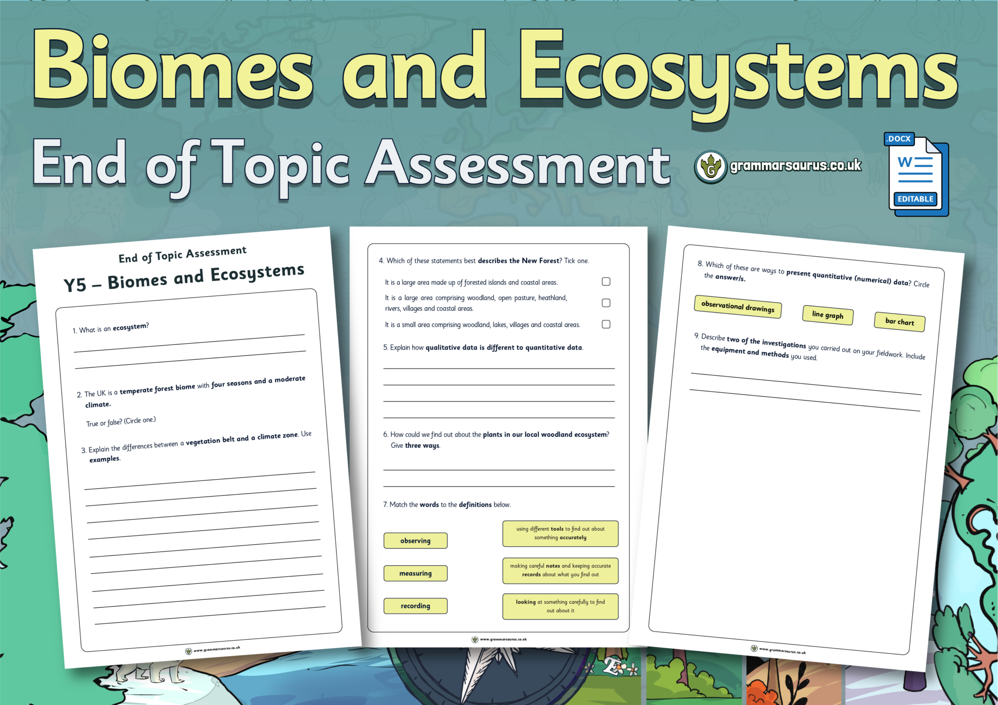 Year 5 Geography – Fieldwork – Biomes – End of Topic Assessment ...