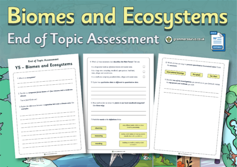 Year 5 Geography – Fieldwork – Biomes – End of Topic Assessment ...