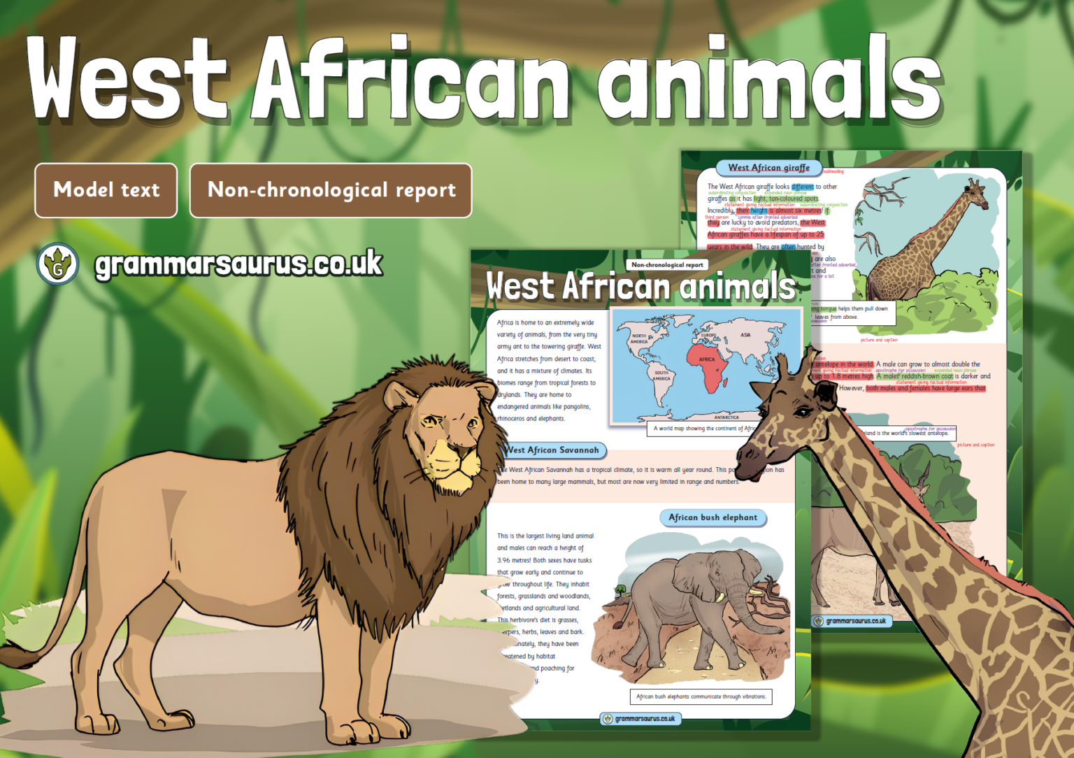 Year 4 Model Text – Non-chronological report – West African Animals - Grammarsaurus