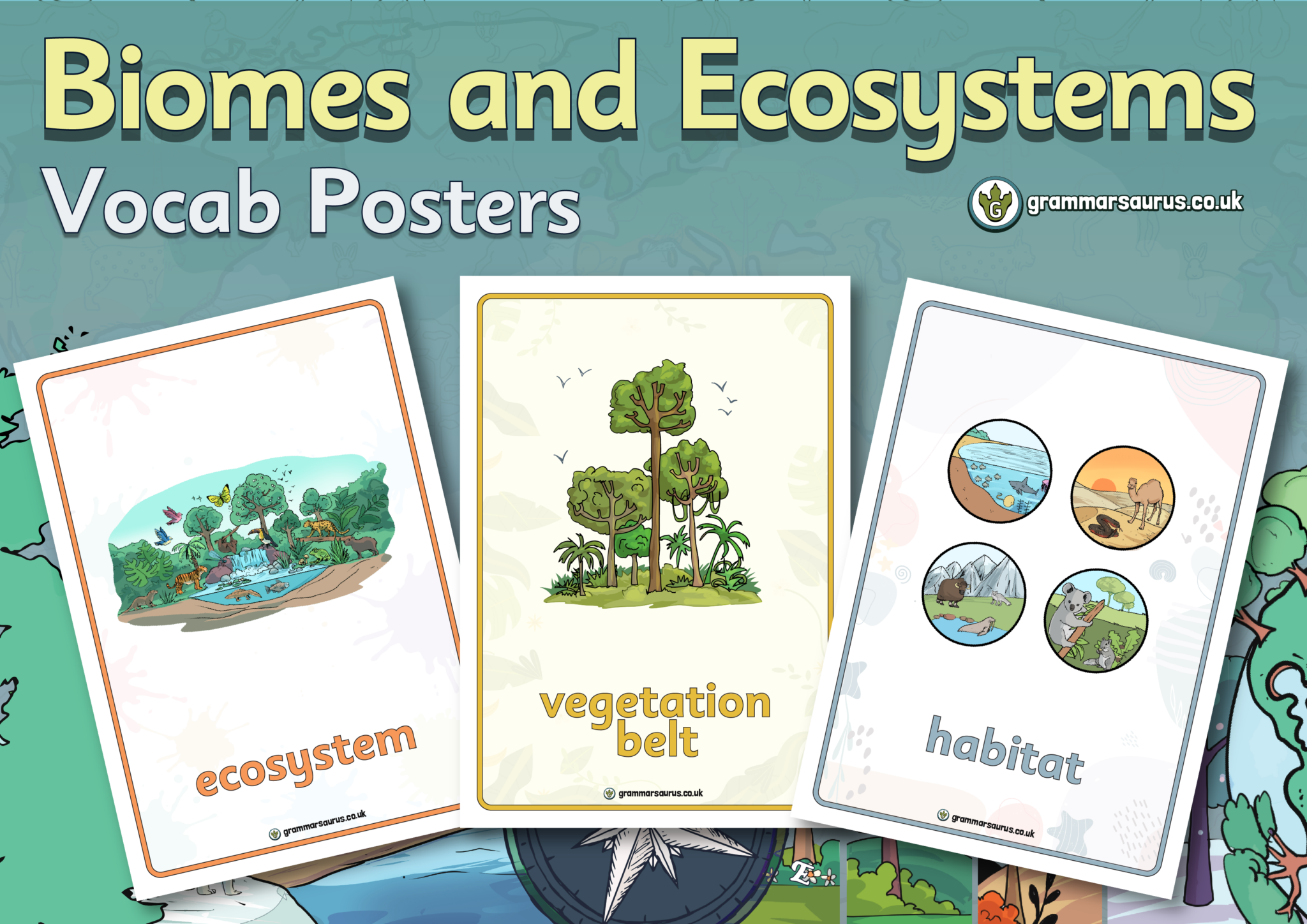 Year 5 Geography – Fieldwork – Biomes – Vocab Posters - Grammarsaurus
