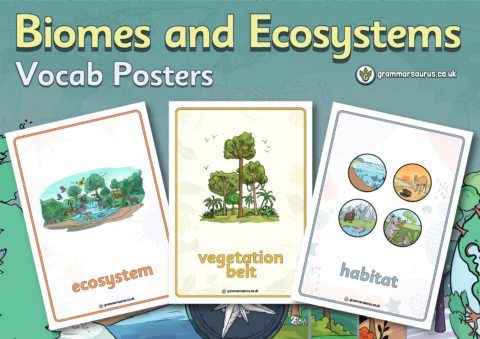 Year 5 Geography – Fieldwork – Biomes – Vocab Posters - Grammarsaurus