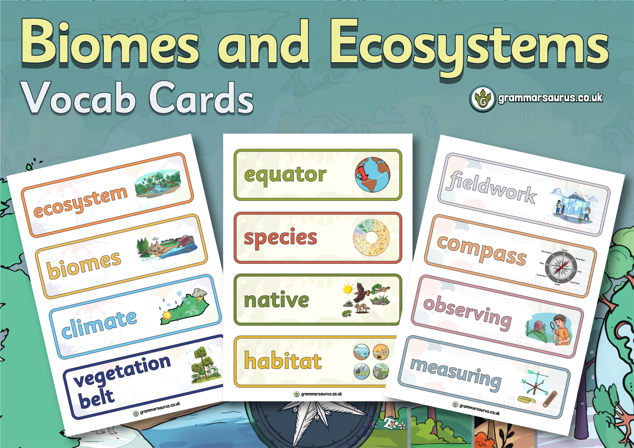 Year 5 Geography – Fieldwork – Biomes – Vocab Cards - Grammarsaurus