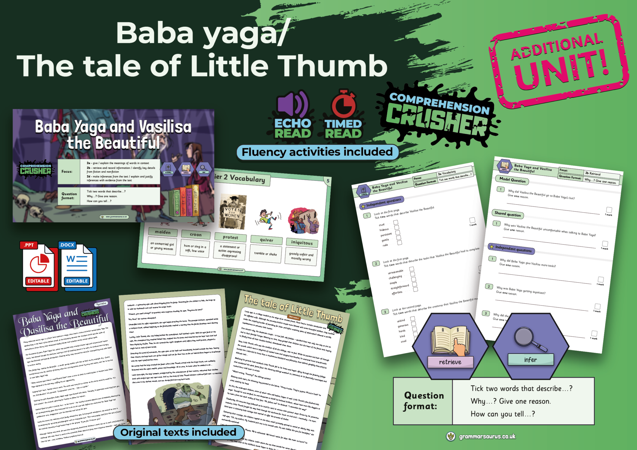 Year 5 Comprehension Crusher Reading Scheme – Additional Unit – Baby ...