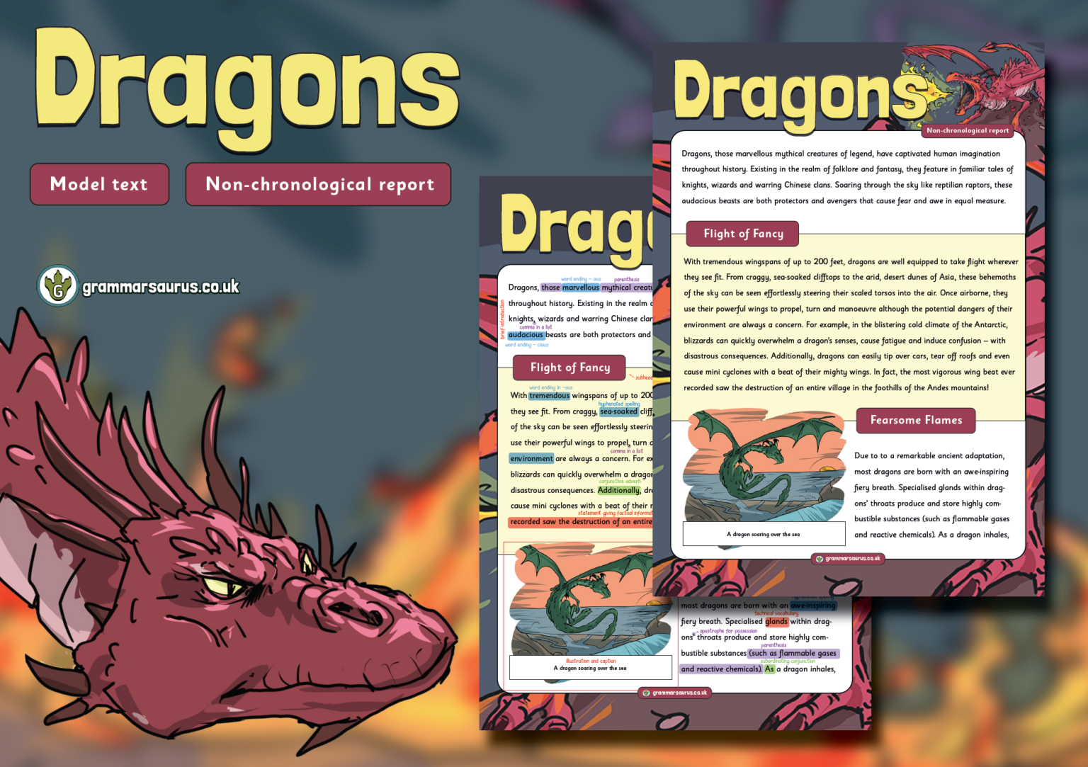 Year 5 Model Text – Non-chronological report - Dragons - Grammarsaurus