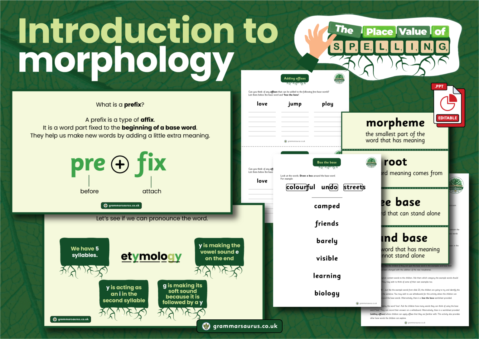 Y3 Objective 3 (Introduction to Morphology) - Grammarsaurus