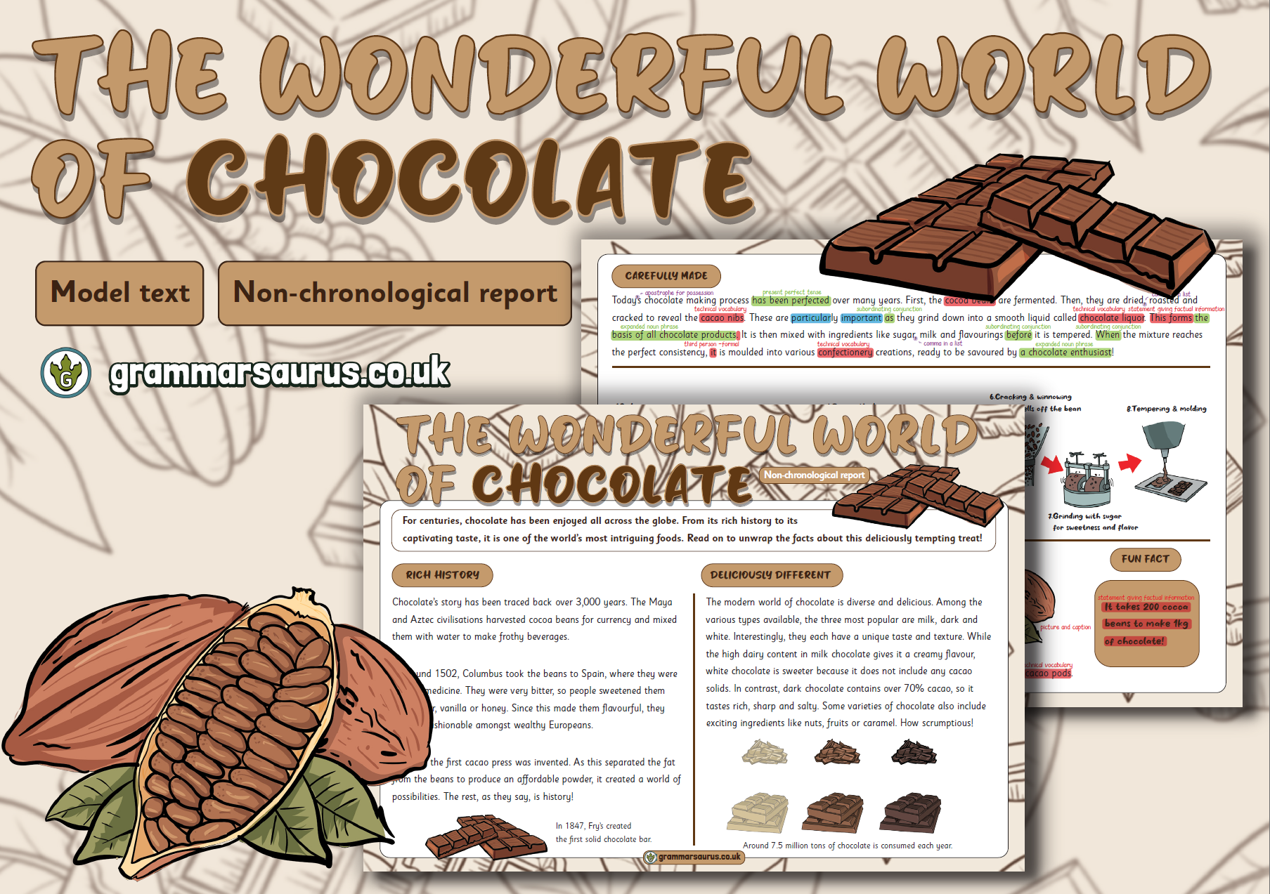 Year 3 Model Text – Non-chronological report – The Wonderful World of ...