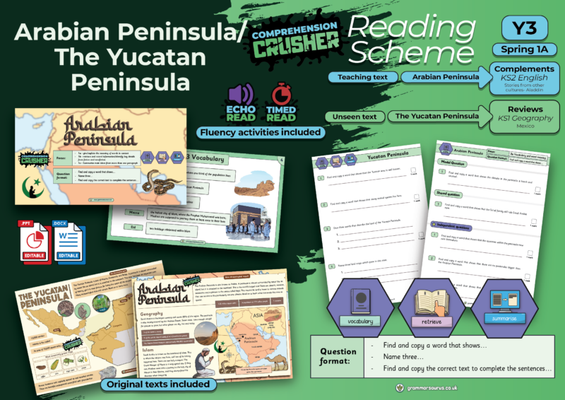 Y3 Teaching resources - Grammarsaurus