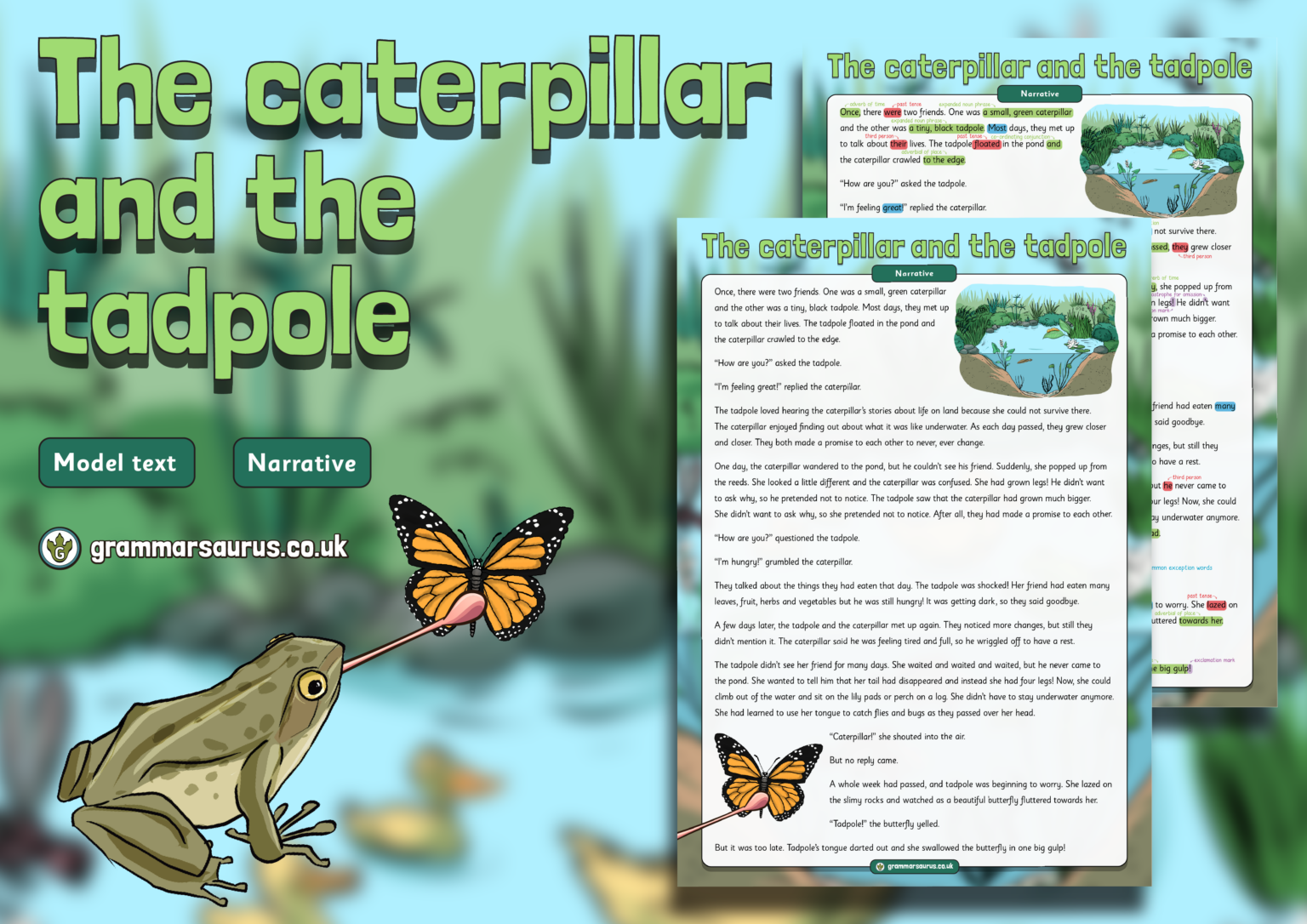 Year 2 Model Text – Narrative - The Caterpillar and the tadpole ...